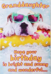 greeting card happy birthday granddaughter with bulldog dog - bright sunny wonderful just like you