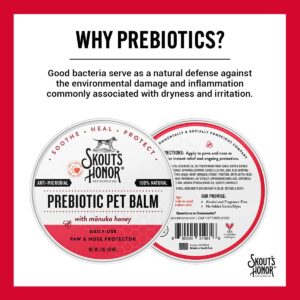 SKOUT'S HONOR Prebiotic Pet Balm - 100% Natural and Made with Manuka Honey, Soothes Dry, Itchy Paws and Noses - Safe for Cats and Dogs, 2oz