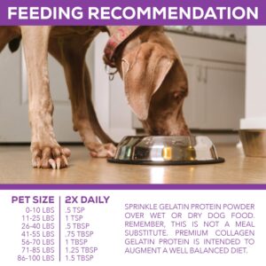 Step Above Proteins, Premium Collagen Gelatin Protein for Dogs, 3Lb