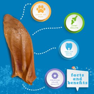 Jack&Pup Pig Ears for Dogs (18 Pack) Extra Thick Half Pigs Ears - Premium Dog Pig Ear Treats - Healthy Dog Pork Chews; Excellent Rawhide Alternative