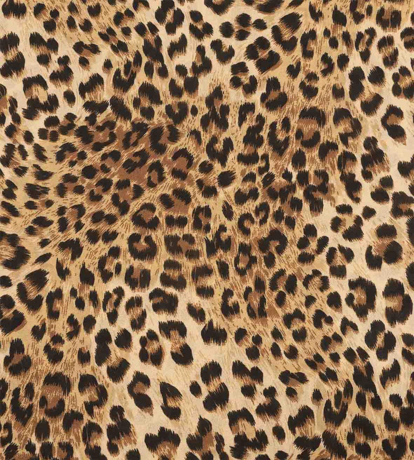 Ambesonne Leopard Print Duvet Cover Set, Skin Pattern of a Wild Savannah Animal Powerful Panther Big Cat, Decorative 3 Piece Bedding Set with 2 Pillow Shams, Queen Size, Brown Beige