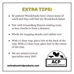 Woodchuck Salad 8 Oz | Highly Attractive Paste Bait to Get Rid of Groundhogs Wood Chucks Rabbits in Yard Garden Property | Potent Garden Vegetable Essence Scent | Handcrafted and Bottled in USA