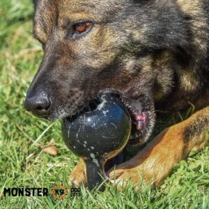 Monster K9 Ultra Durable Kettlebell Dog Toy - Medium & Large Breed - for Super Aggressive Power Chewers - Tough & Strong, Extreme Heavy Duty Natural Rubber - Fetch, Tug, & Chew - 6" H x 3" Dia.