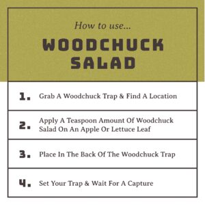 Woodchuck Salad 8 Oz | Highly Attractive Paste Bait to Get Rid of Groundhogs Wood Chucks Rabbits in Yard Garden Property | Potent Garden Vegetable Essence Scent | Handcrafted and Bottled in USA