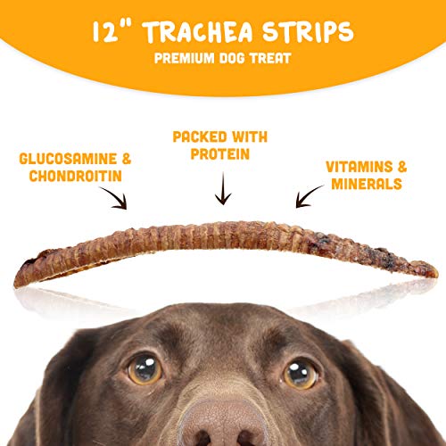 Downtown Pet Supply - Beef Trachea Dog Treats - Bully Sticks Alternative - Dog Dental Treats & Rawhide-Free Dog Chews - Glucosamine, Chondroitin, Protein, Vitamins & Minerals - 6in - 6Ct