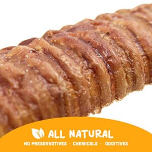 Downtown Pet Supply - Beef Trachea Dog Treats - Bully Sticks Alternative - Dog Dental Treats & Rawhide-Free Dog Chews - Glucosamine, Chondroitin, Protein, Vitamins & Minerals - 6in - 6Ct