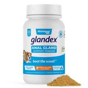 glandex dog fiber supplement powder for anal glands with pumpkin, digestive enzymes & dog probiotics for digestive health - vet recommended - boot the scoot (vegan salmon, 2.5oz powder)