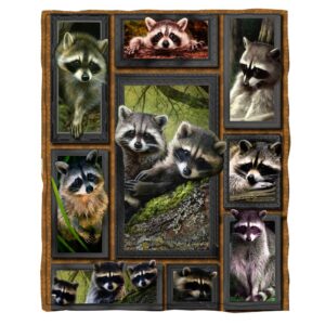 chrihome flannel blanket 3d raccoon blanket soft cozy plush bed sofa throw blanket air travelling blanket,air conditioning blanket for kids and adult (3d raccoon, 80'' x 60'')