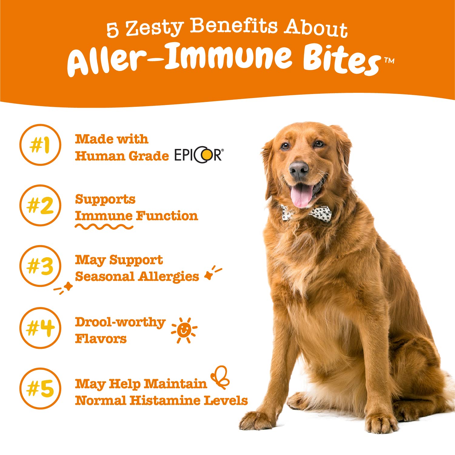 Allergy Immune Supplement for Dogs Lamb- with Omega 3 Wild Alaskan Salmon Fish Oil + Multifunctional Supplements for Dogs - Glucosamine Chondroitin for Joint Support