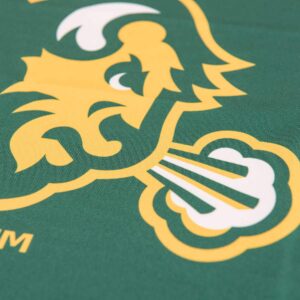 College Flags & Banners Co. North Dakota State Bison Logo Tablecloth or Table Overlay