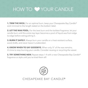 Chesapeake Bay Candle PT42079 Candle, Multi-Wick Ceramic, Lavender Mint Leaf, Home Décor