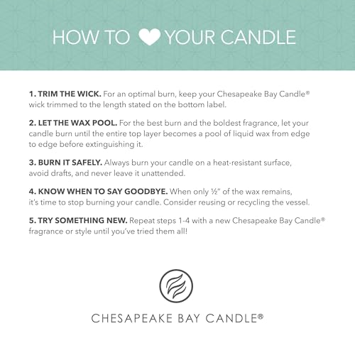 Chesapeake Bay Candle PT42079 Candle, Multi-Wick Ceramic, Lavender Mint Leaf, Home Décor