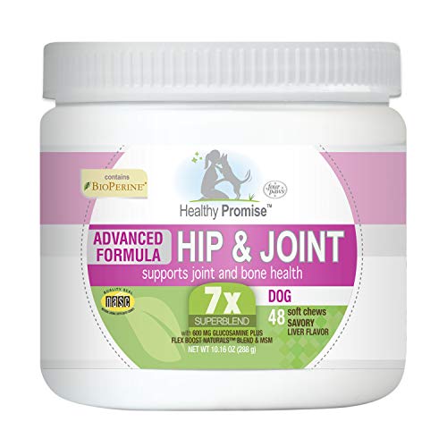 Four Paws Healthy Promise Advanced Formula Hip & Joint Supplement for Dogs Soft Chews 48 Count