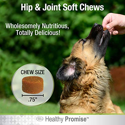 Four Paws Healthy Promise Advanced Formula Hip & Joint Supplement for Dogs Soft Chews 48 Count