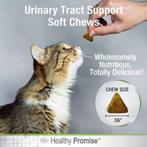 Four Paws Healthy Promise Cat Urinary Tract Supplement Soft Chews 110 Count