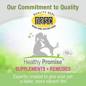 Four Paws Healthy Promise Advanced Formula Hip & Joint Supplement for Dogs Soft Chews 48 Count