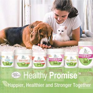 Four Paws Healthy Promise Advanced Formula Hip & Joint Supplement for Dogs Soft Chews 48 Count