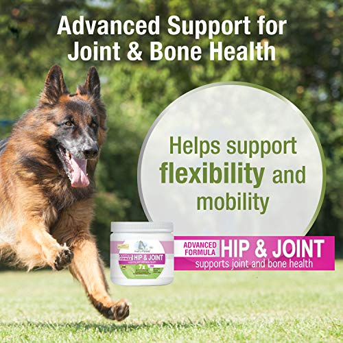 Four Paws Healthy Promise Advanced Formula Hip & Joint Supplement for Dogs Soft Chews 48 Count