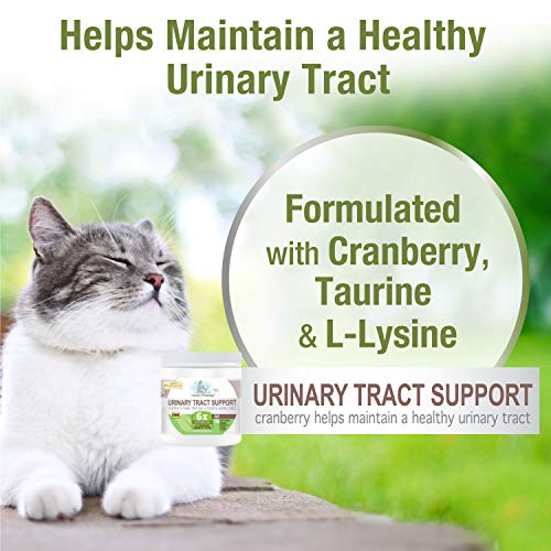 Four Paws Healthy Promise Cat Urinary Tract Supplement Soft Chews 110 Count