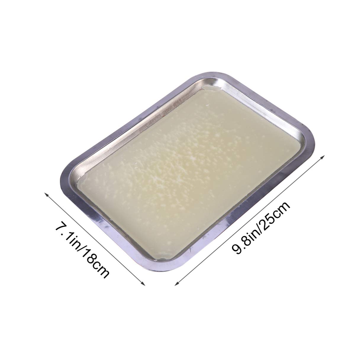 3pcs Wax Dissecting Tray Stainless Steel Thicken Dissection Pan Biological Equipment for Junior Senior Laboratory