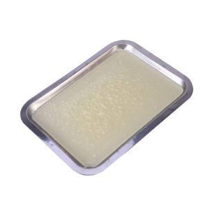 3pcs Wax Dissecting Tray Stainless Steel Thicken Dissection Pan Biological Equipment for Junior Senior Laboratory