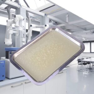 3pcs Wax Dissecting Tray Stainless Steel Thicken Dissection Pan Biological Equipment for Junior Senior Laboratory