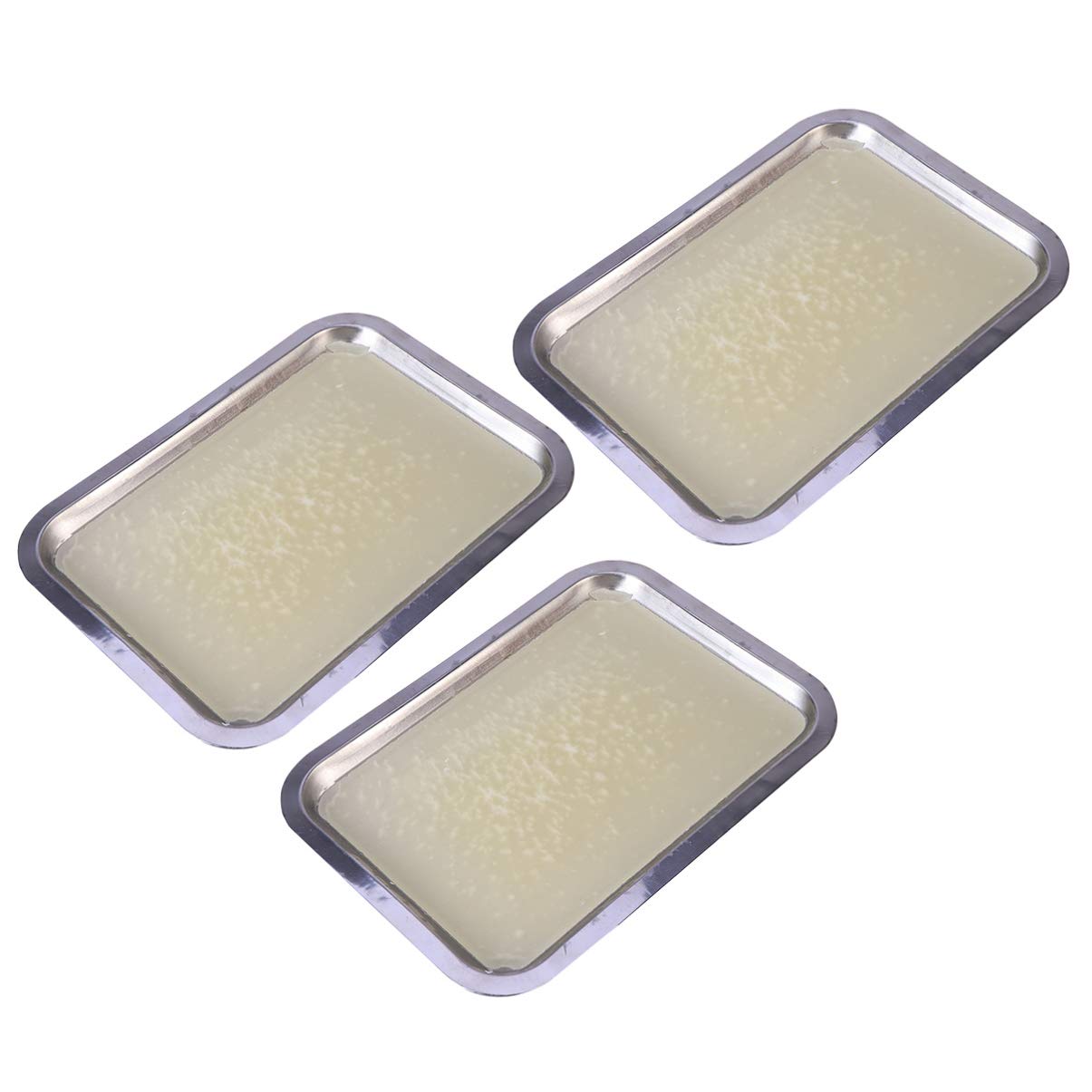 3pcs Wax Dissecting Tray Stainless Steel Thicken Dissection Pan Biological Equipment for Junior Senior Laboratory