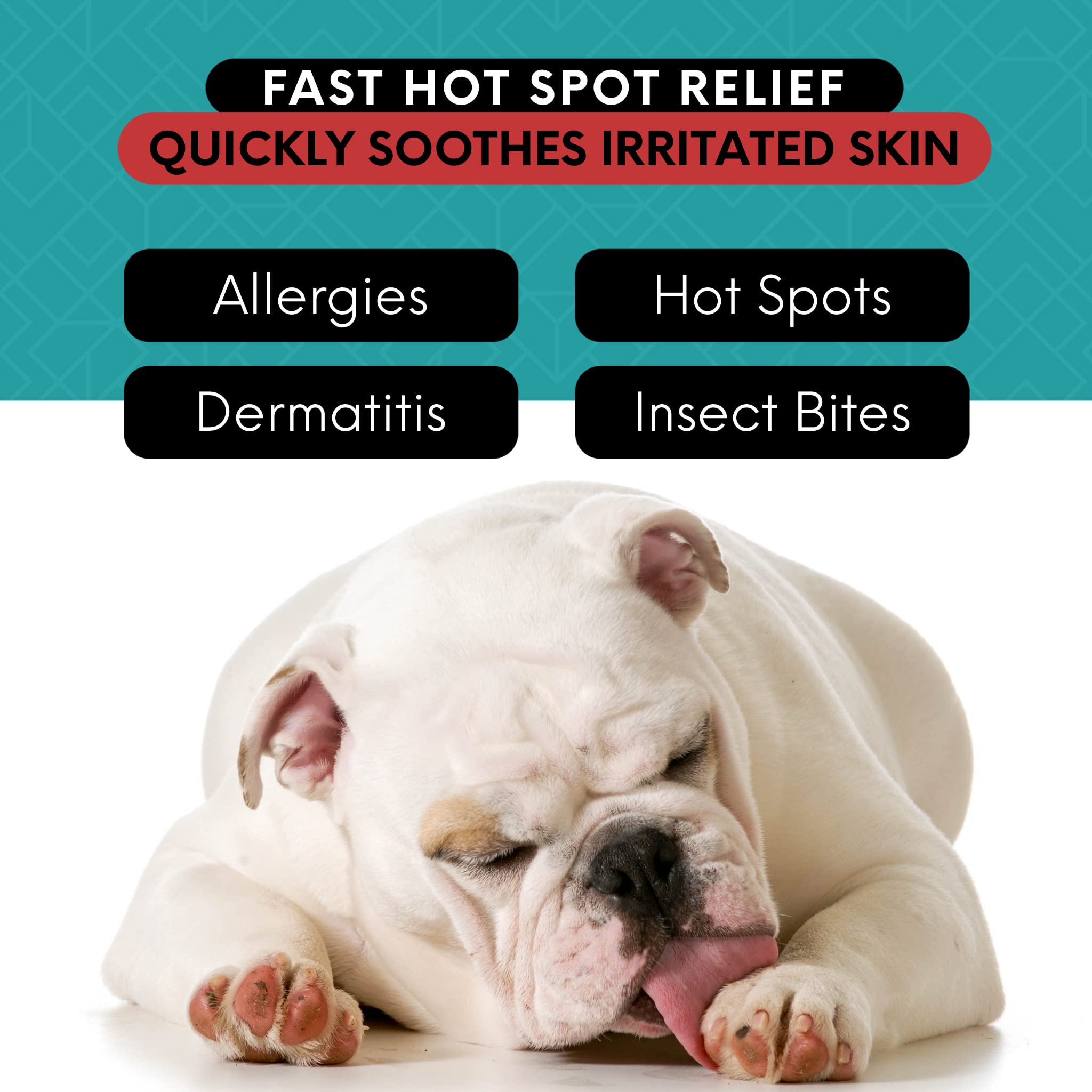 Curicyn Hot Spot Formula, Extra Strength Hot Spot Treatment for Dogs and Cats – Soothing Anti Itch Relief for Lick Granuloma, Dermatitis and Rash Eases Skin Irritation with Hypochlorous Acid (3 oz)