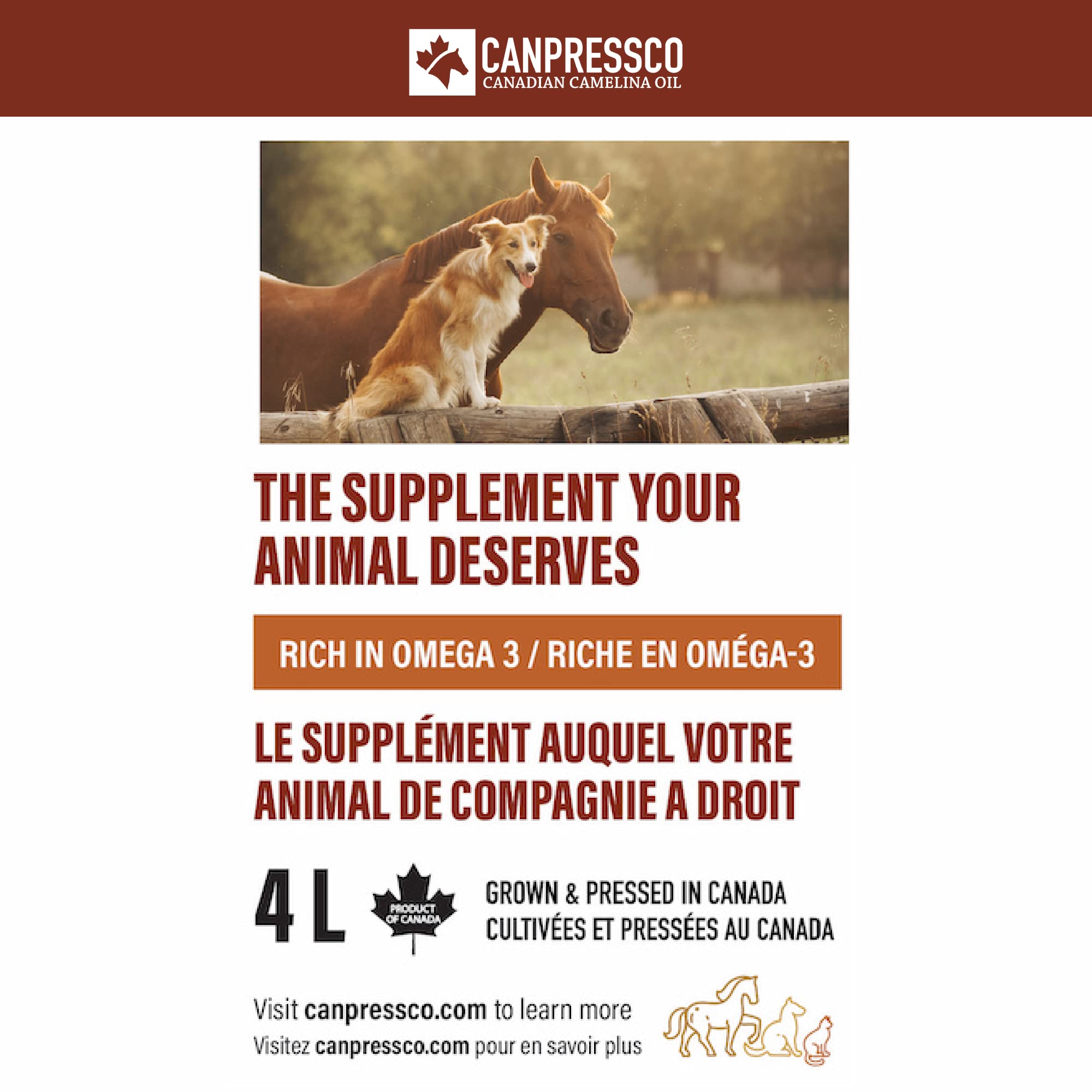 Canpressco Camelina Oil 4 L Jug with Dispensing Pump | Omega 3 Oil Supplement for Equine, Canine and Feline Joint, Coat and Skin Health