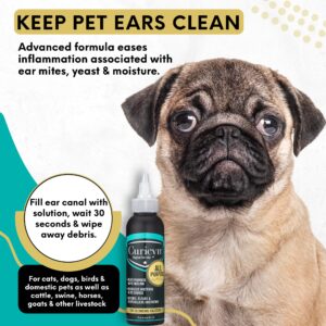 Curicyn Dog Ear Infection Treatment (3oz) - Dog Ear Cleaner - Dog Ear Cleaning Solution - Cat Ear Cleaner - Ear Drops for Kittens, Dogs & More