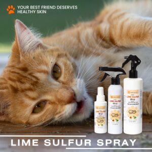 Classic's Lime Sulfur Spray - Pet Care for Dry and Itchy Skin - Spotcare and Safe Solution for Dog, Cat, Puppy, Kitten, Horse (4 oz)