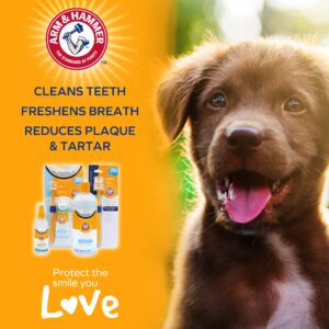 ARM & HAMMER Fresh Spectrum 360° Degree Toothbrush for Puppies and Small Dogs, Best Dental Care for your Dog, Brush Deep Cleans all Tooth Surface & Removes Plaque, Quick & Easy to Use Puppy Oral Care