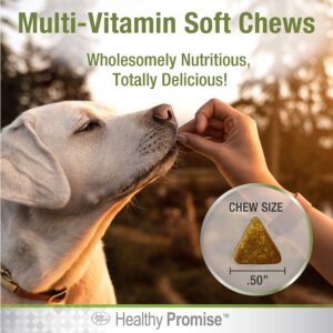 Four Paws Healthy Promise Dog Multivitamin Soft Chews 120 Count