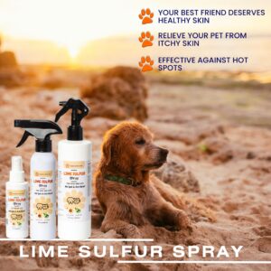 Classic's Lime Sulfur Spray - Pet Care for Dry and Itchy Skin - Spotcare and Safe Solution for Dog, Cat, Puppy, Kitten, Horse (4 oz)