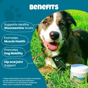 PawMedica Glucosamine for Dogs, Hip & Joint Care Chews for Dogs, Joint Support for Dog Joint Supplements with Hemp Mobility for Dogs, Senior Dog Joint Supplement Large Breed - 120 Dog Hemp Chews