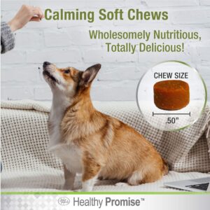 Four Paws Healthy Promise Calming Chews for Dogs 90 Count