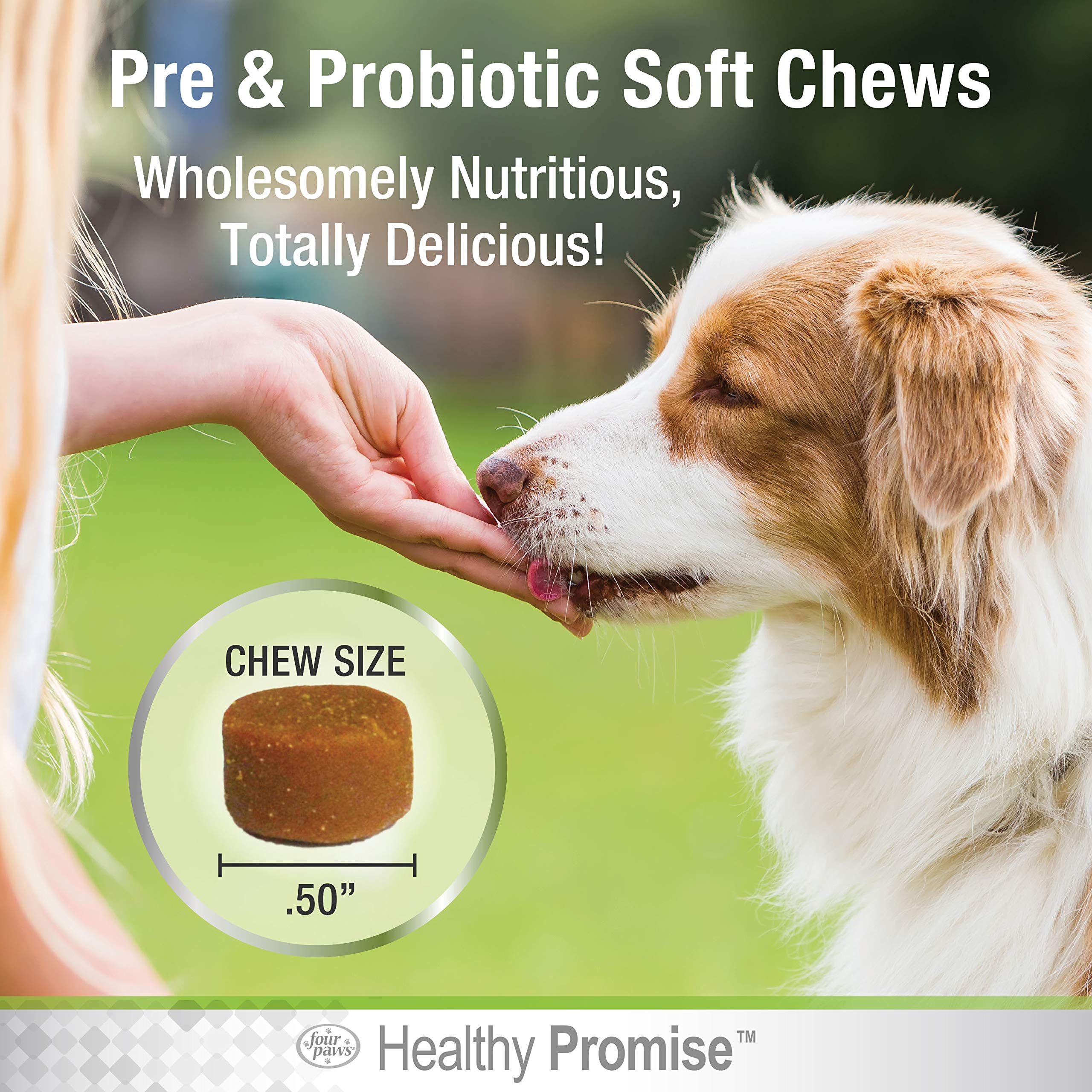 Four Paws Healthy Promise Pre and Probiotics for Dogs Soft Chews 90 Count