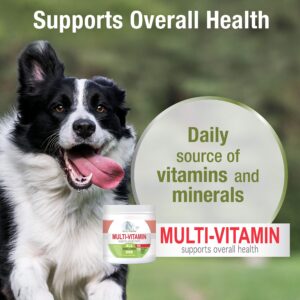 Four Paws Healthy Promise Dog Multivitamin Soft Chews 120 Count