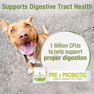 Four Paws Healthy Promise Pre and Probiotics for Dogs Soft Chews 90 Count