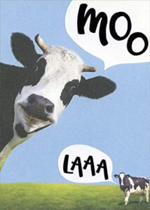 designer greetings moo laaa cows funny/humorous birthday card