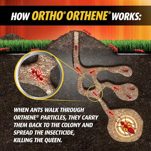 Ortho Ant Killer