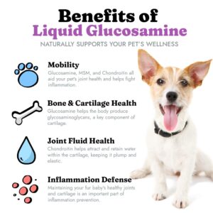 Liquid Glucosamine for Dogs Cats & Horses with Chondroitin, MSM, and Hyaluronic Acid, Hip & Joint Supplement for Mobility & Comfort, Supports Joint Health & Flexibility, Mobility, & Protection, 32 oz