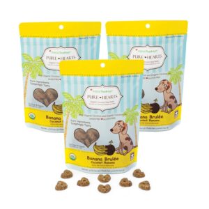 cocotherapy 3 pack of banana brulee pure hearts coconut cookies, 5 ounces each, organic dog treats made in the usa