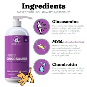 Liquid Glucosamine for Dogs Cats & Horses with Chondroitin, MSM, and Hyaluronic Acid, Hip & Joint Supplement for Mobility & Comfort, Supports Joint Health & Flexibility, Mobility, & Protection, 32 oz