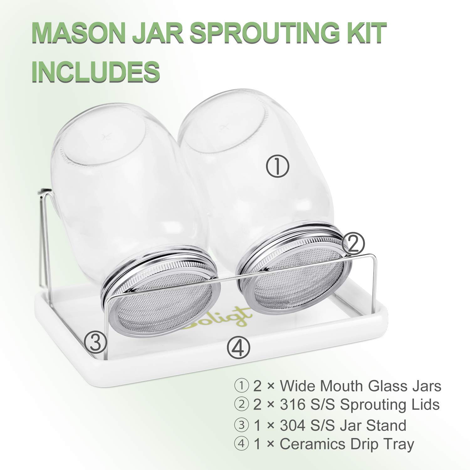 Complete Mason Jar Sprouting Kit - 2 Wide Mouth Quart Sprouting Jars with 316 Stainless Steel Sprouting Lids, Ceramic Drip Tray and Stand