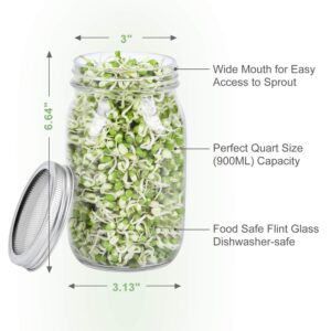 Complete Mason Jar Sprouting Kit - 2 Wide Mouth Quart Sprouting Jars with 316 Stainless Steel Sprouting Lids, Ceramic Drip Tray and Stand