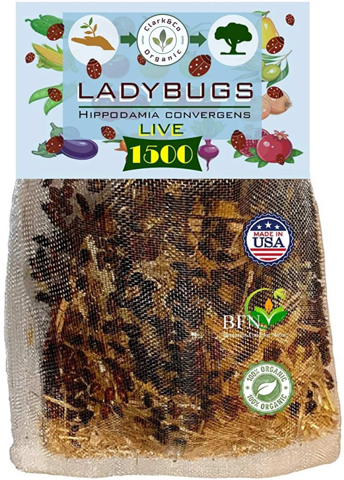 1500x1 Live Ladybugs - Good Bugs - Ladybugs for Garden - Guaranteed Live Delivery!