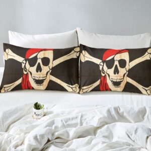 Pirate Comforter Cover Queen,Flag of Tierra del Fuego Argentina in Grunge Antique Historical Skull Pattern Printed Decorative 3 Pieces Bedding Set(1 Duvet cover Set 2 Pillow Shams) ,with Zip Ties