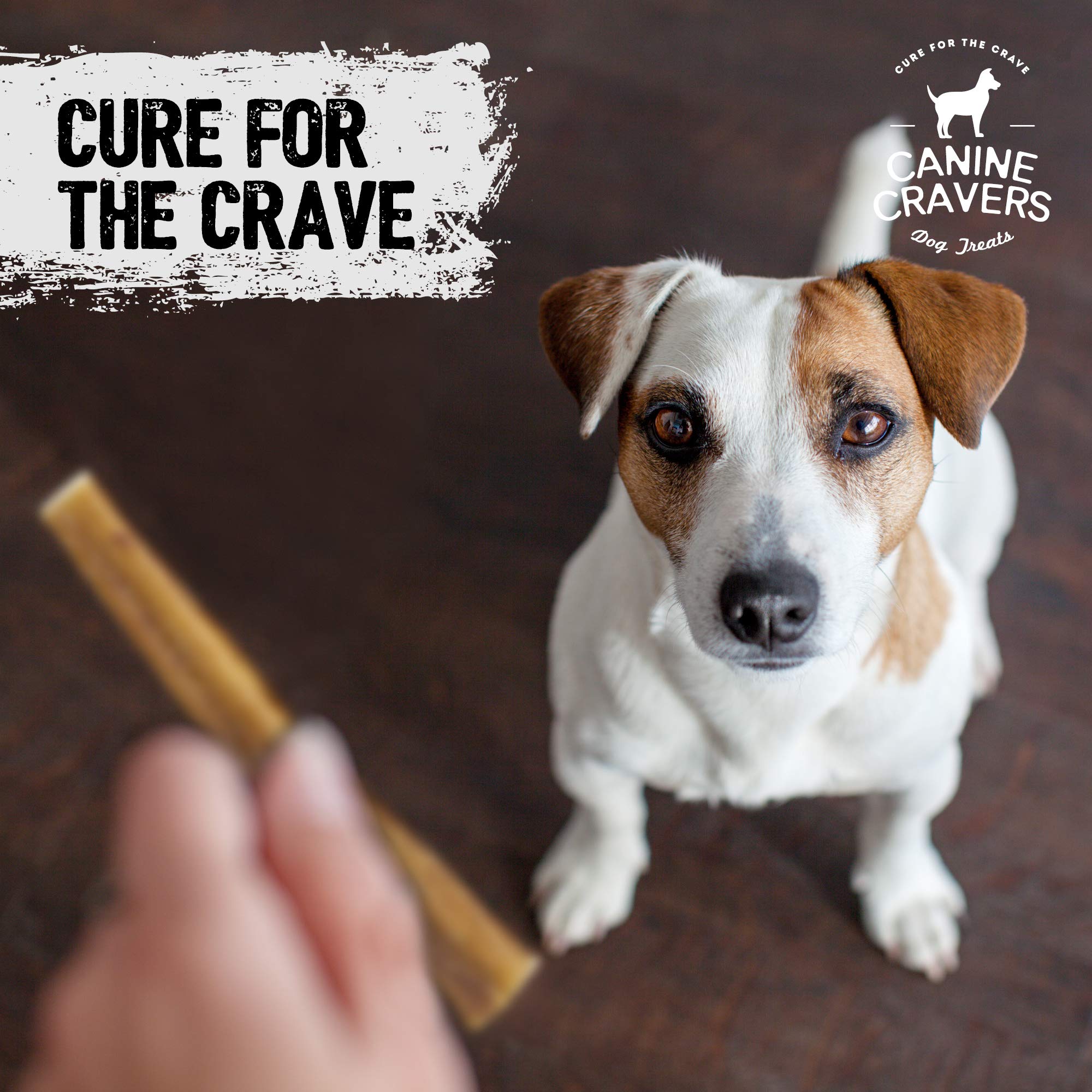 Canine Cravers Maplewood Smoked Bully Sticks 6” Inch - 100% Natural Free Range Grass Fed Beef - Made in Canada - Odor-Reduced Long Lasting, Rawhide Free Dog Chews High Protein Low Fat Dental Care