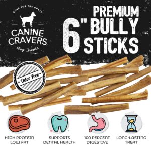 Canine Cravers Maplewood Smoked Bully Sticks 6” Inch - 100% Natural Free Range Grass Fed Beef - Made in Canada - Odor-Reduced Long Lasting, Rawhide Free Dog Chews High Protein Low Fat Dental Care